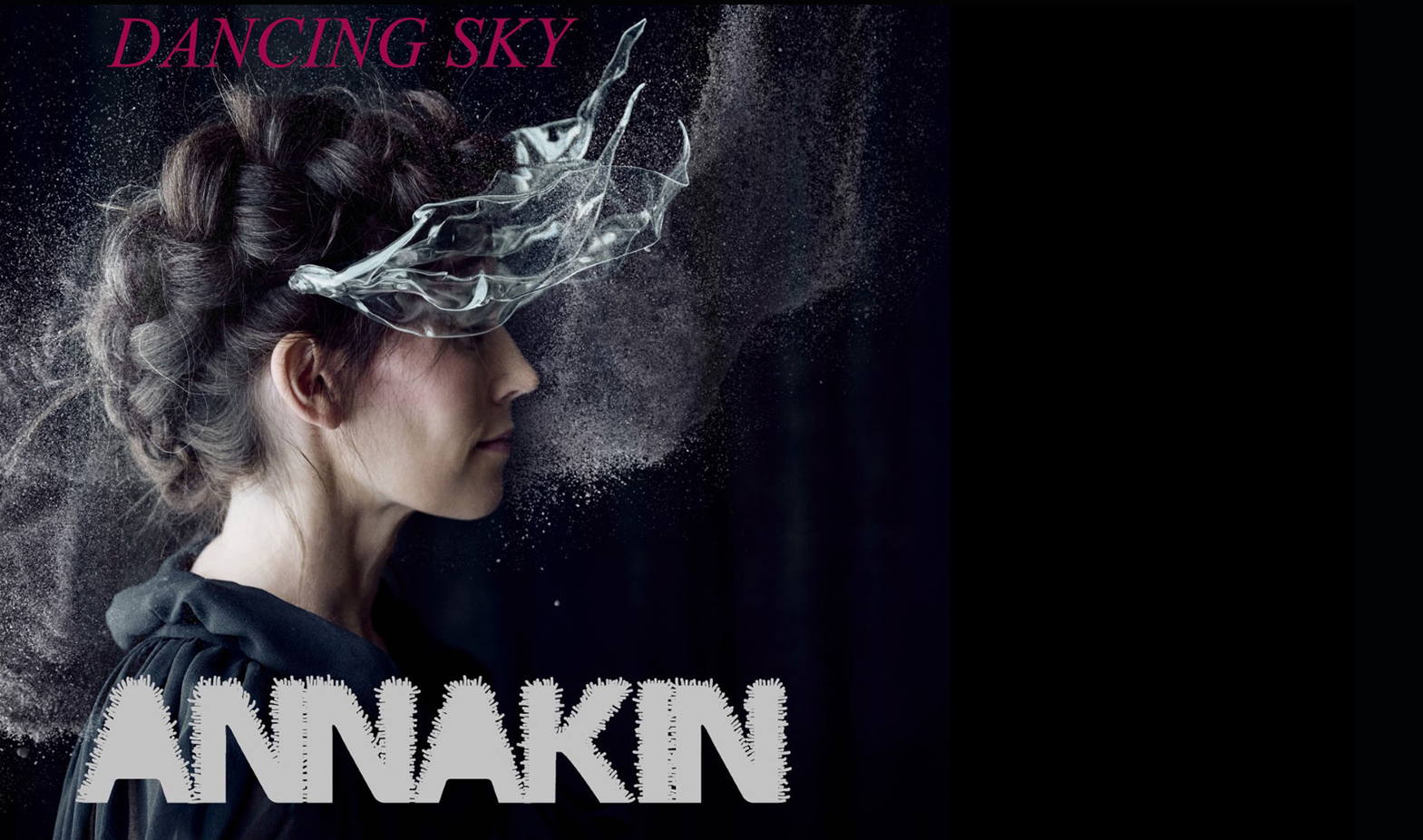 annakin.net — annakin